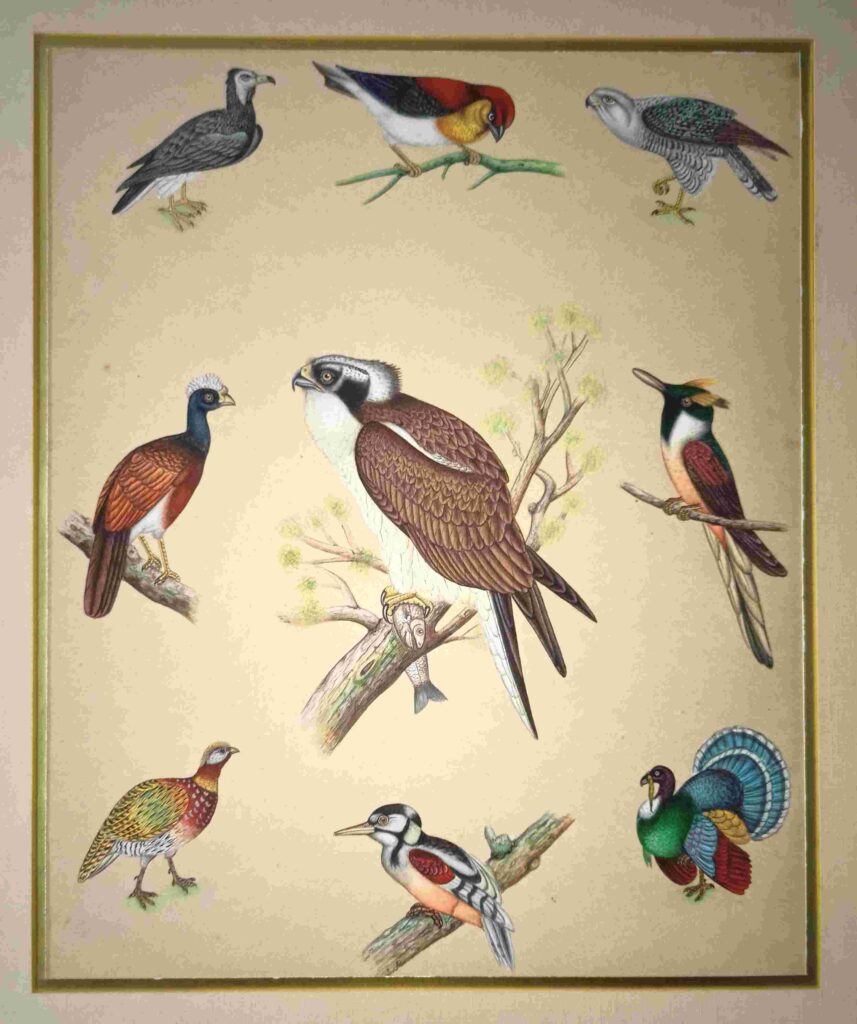 Bird Miniature Paintings Miniature Paintings - Jeypore Art And Craft